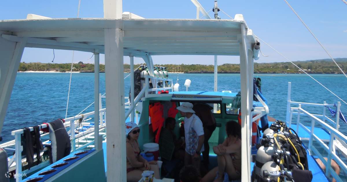 探索海洋天堂：與我們的 Padi 度假村一起前往阿波島全日浮潛之旅 Klook香港